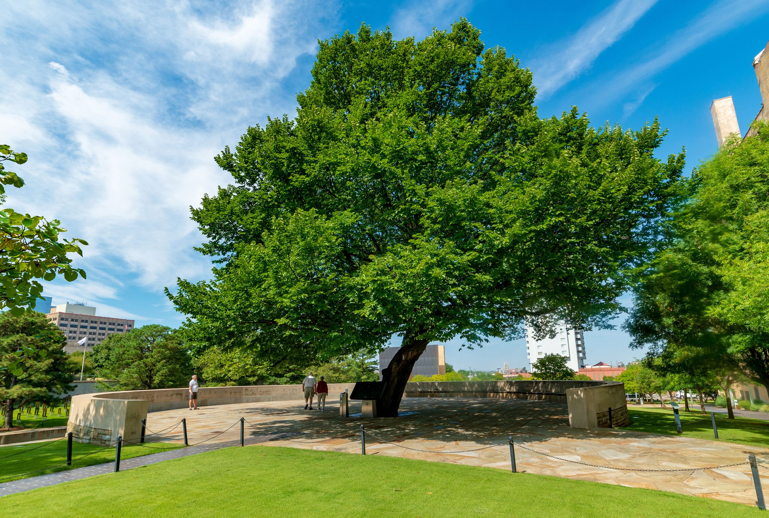 OKC’s Survivor Tree: A Symbol of Resilience – BC Clark